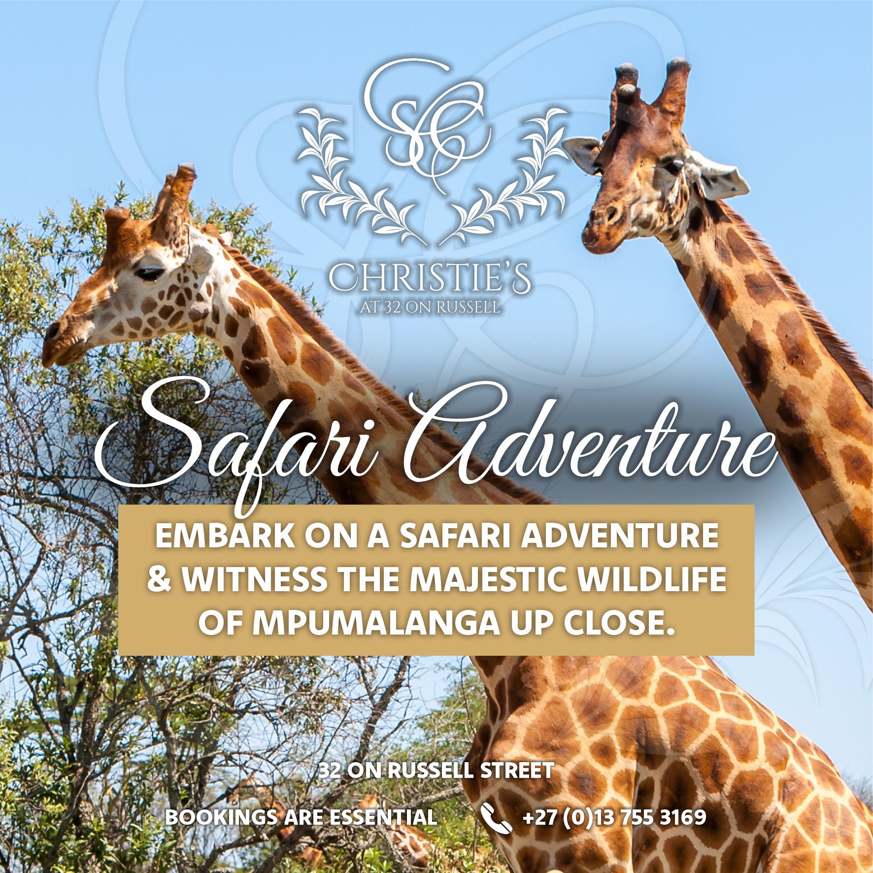 Safari Adventure – Christie's News Blog